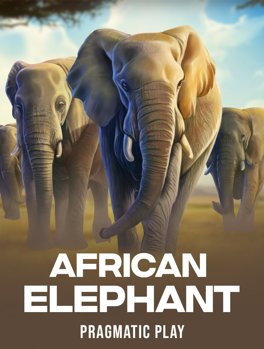 Play African Elephant Slot by Pragmatic Play - Rainbet