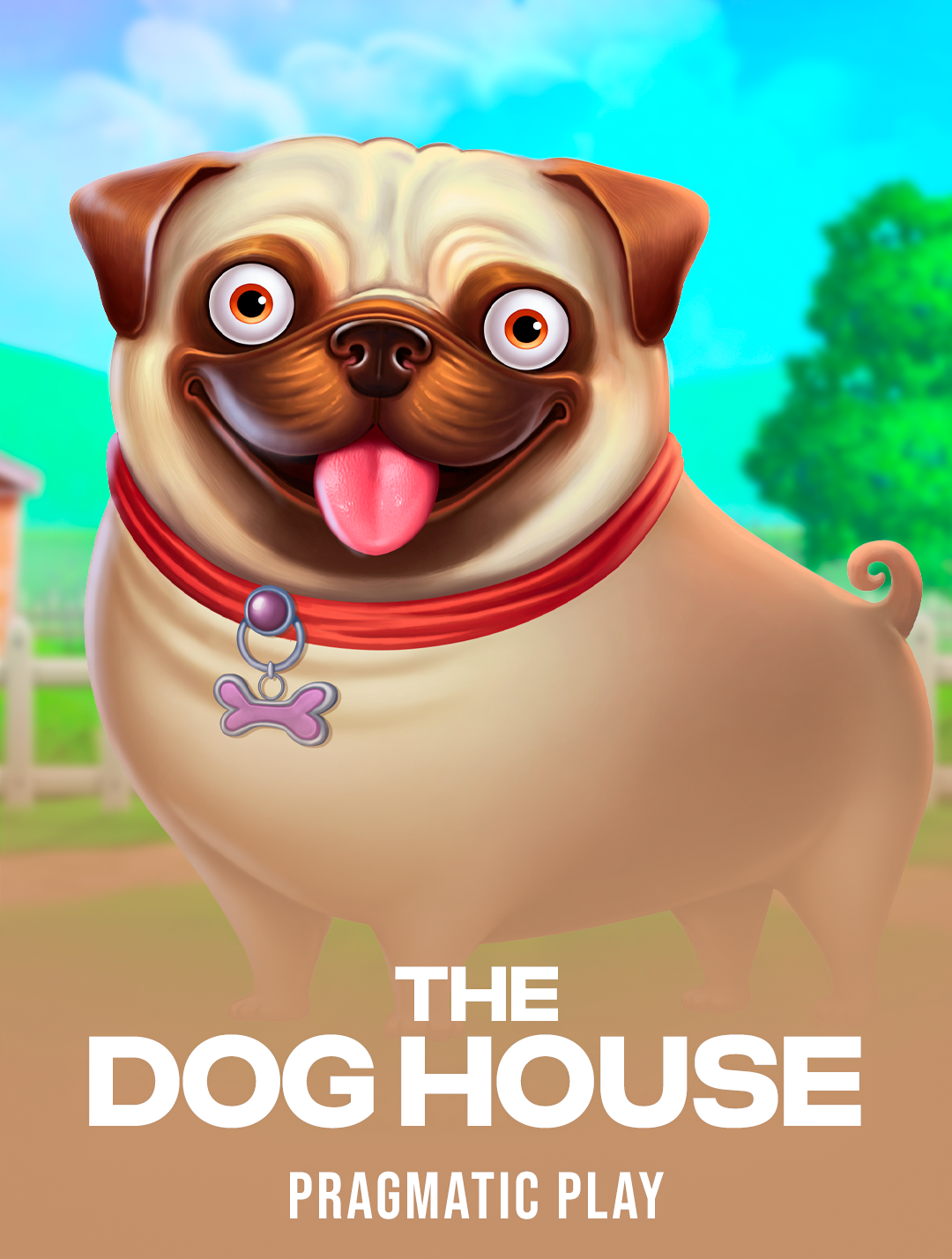 Access Enhancement Active Dog House Space Improvements for UK - Catatau Aço